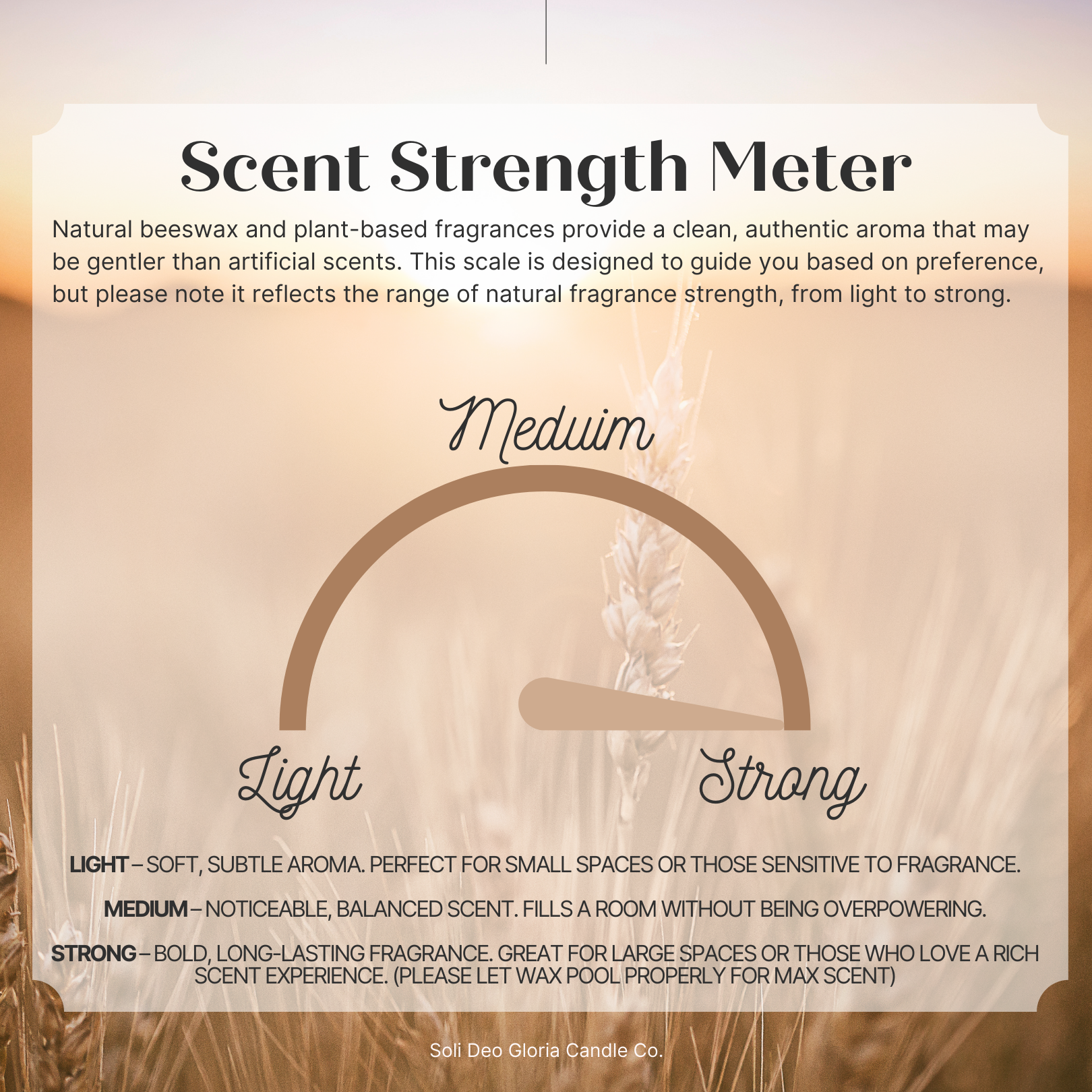 🔥 Bold Glow (Strong Scents) – Soli Deo Gloria Candle Company